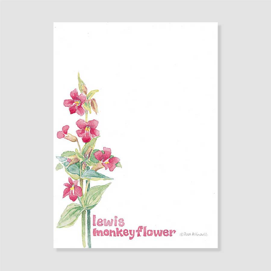 162 Lewis monkey flower notepaper – Martha Knouss WaterColours