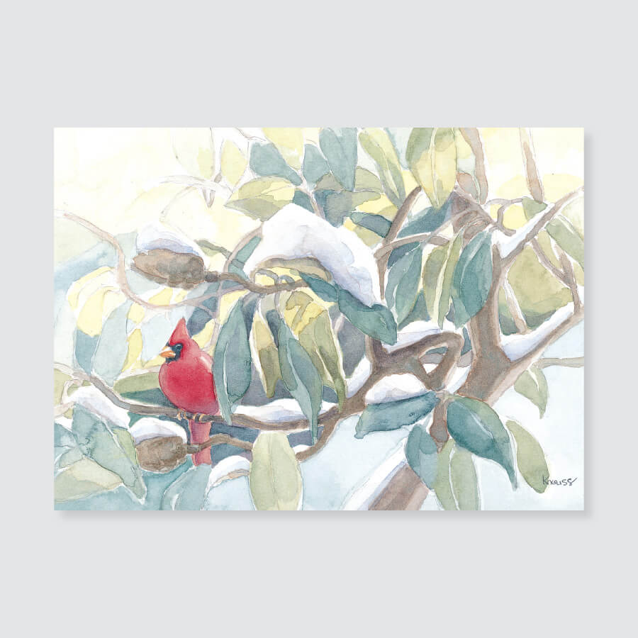 130 cardinal note card – Martha Knouss WaterColours