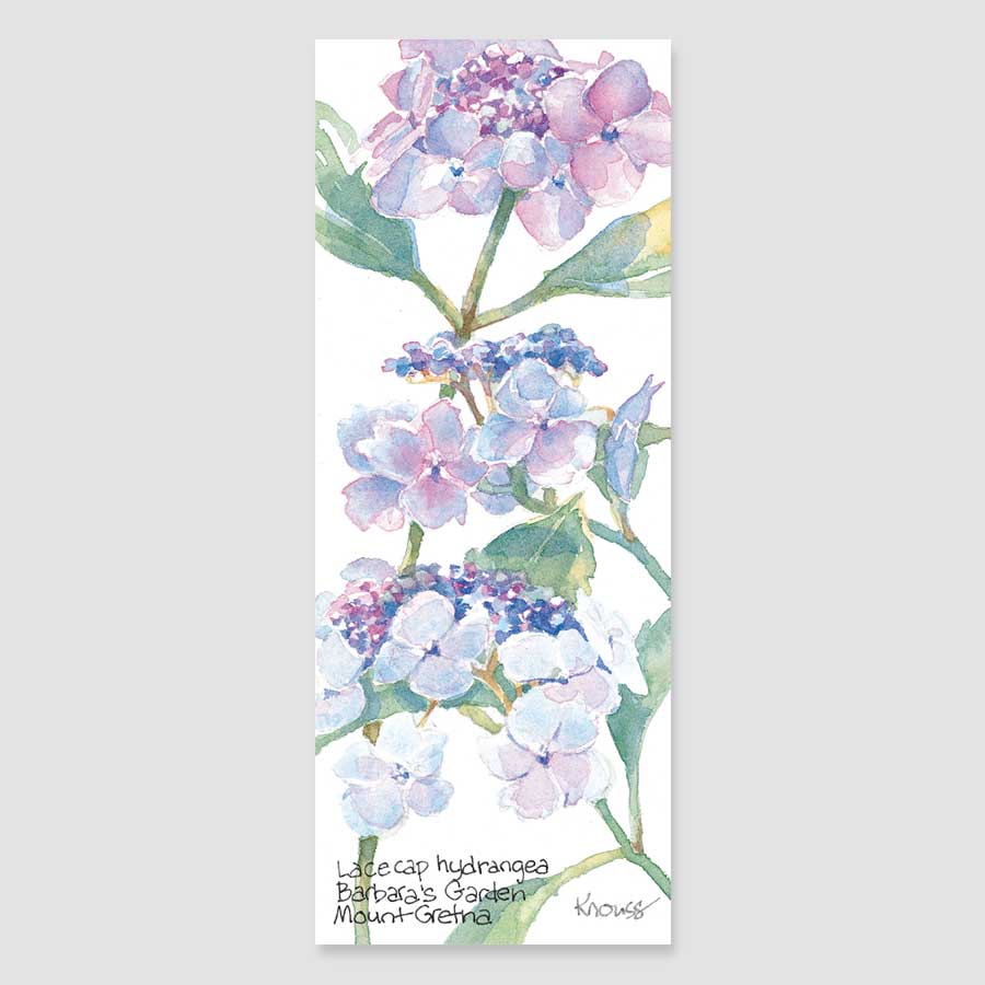 186B hydrangea bookmark – Martha Knouss WaterColours